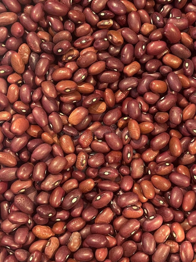 Closeup of small red beans stock photo. Image of uncooked - 295746686