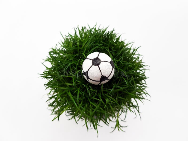 Closeup of a Small Soccer Ball on the Grass Isolated on a White ...