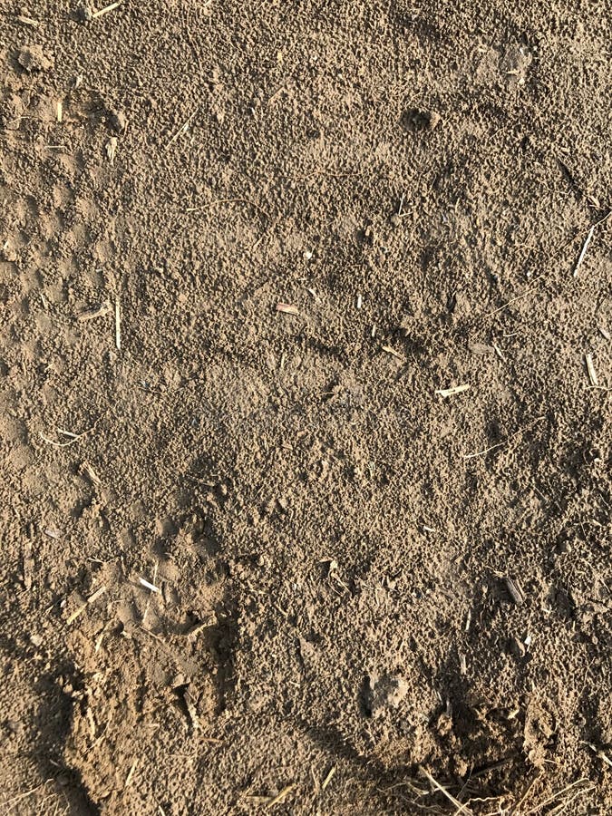 Closeup of soil stock photo. Image of footprint, environment - 135619990