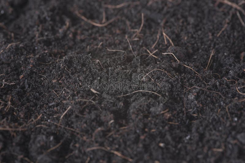 Closeup Soil Nature Texture in Garden Stock Image - Image of ...