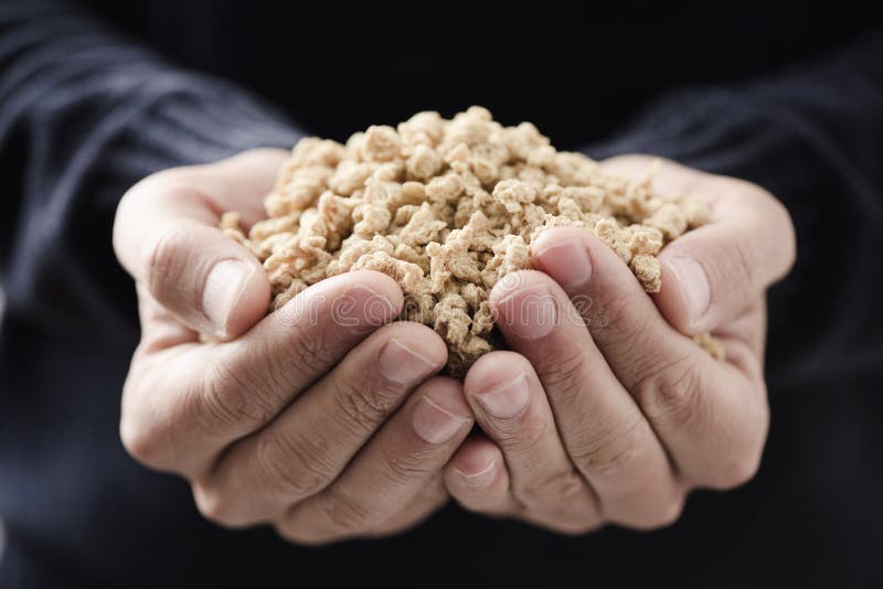 Man with Textured Soy Protein Stock Image - Image of cook, hands: 110292935