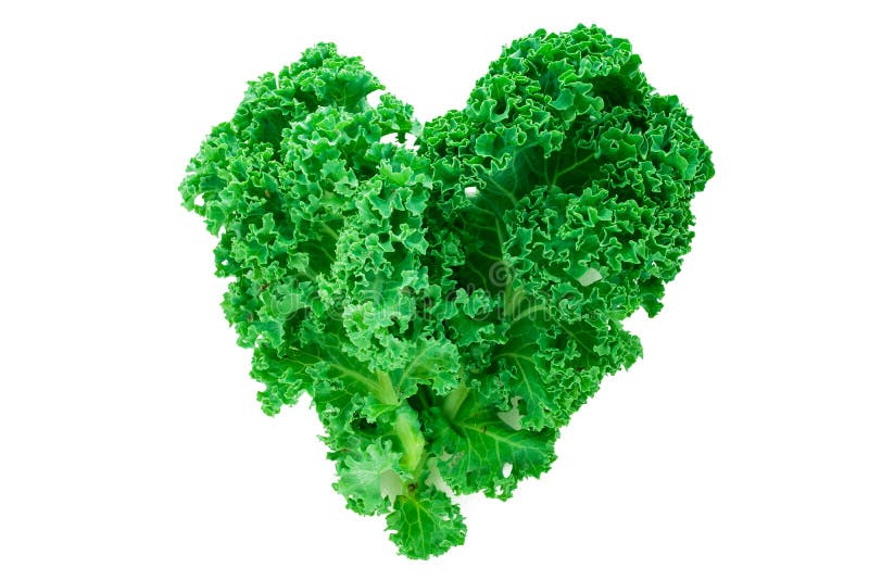 Closeup of Some Leaves of Kale Forming a Heart on a White Background ...