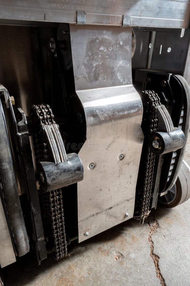 16,072 Dolly Supermodel Stock Photos - Free & Royalty-Free Stock Photos ...