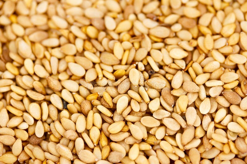 Closeup of spices: sesame stock photo. Image of restaurant - 29121270