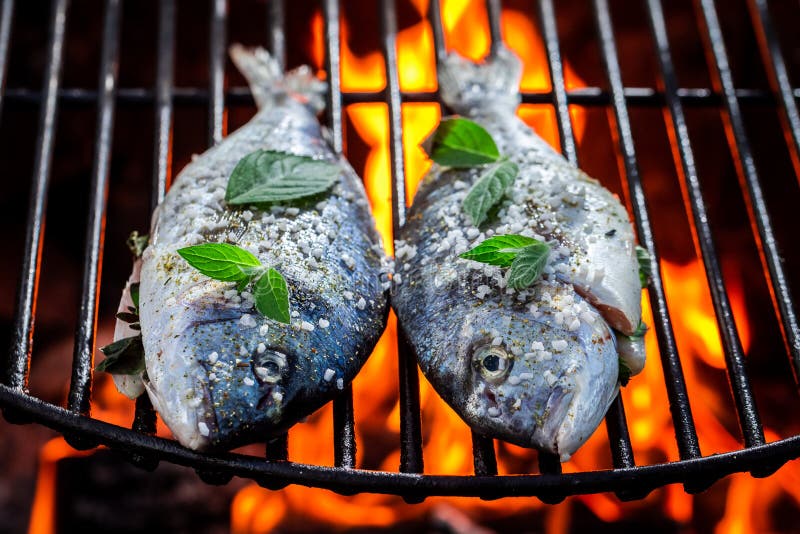 Spicy Fish on Grill with Herbs and Salt Stock Image - Image of tasty ...