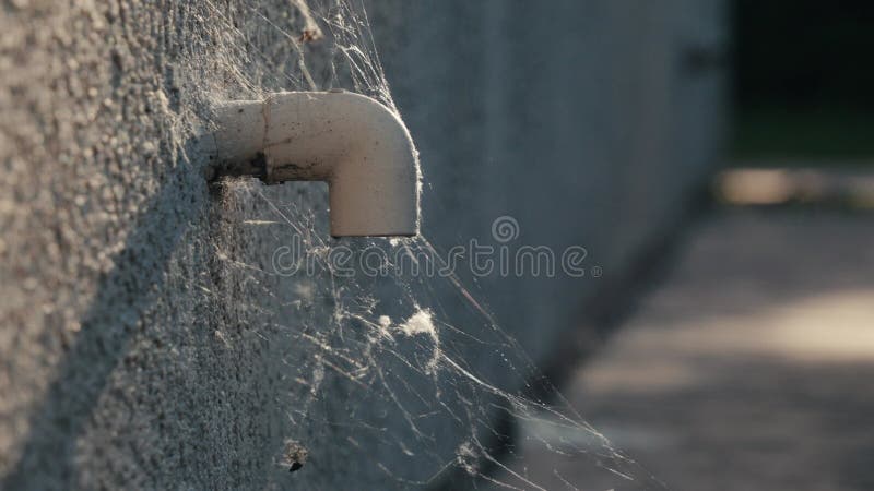 Closeup of Spiderweb on a Drain Old Pipe on a Wheathered Wall Stock ...