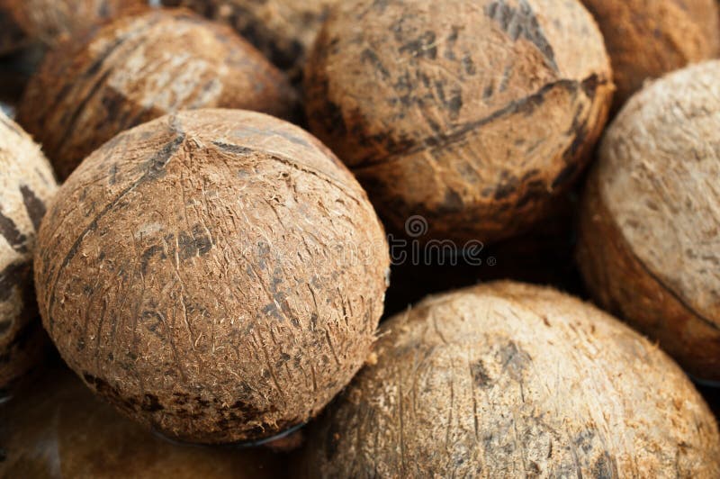 Closeup of stack coconut stock photo. Image of tropical - 33958106