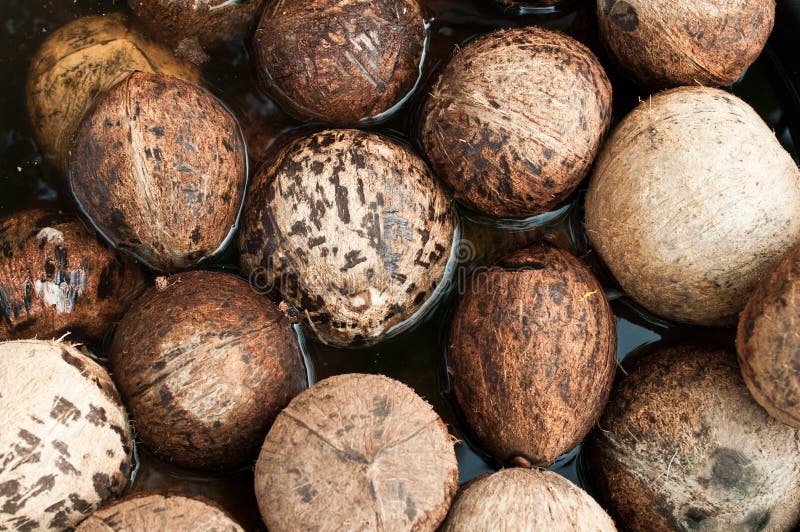 Closeup of Stack Coconut Shell Stock Photo - Image of fruits, objects ...