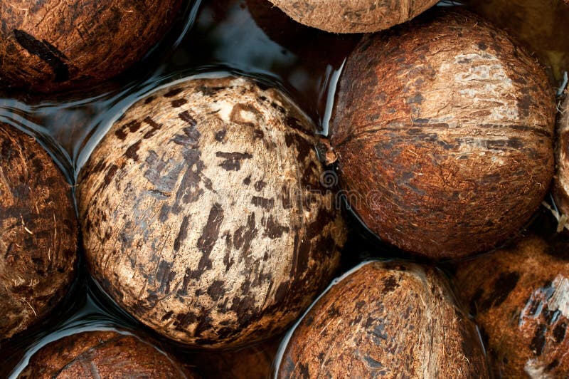 Closeup of Stack Coconut Shell Stock Photo - Image of eating, group ...