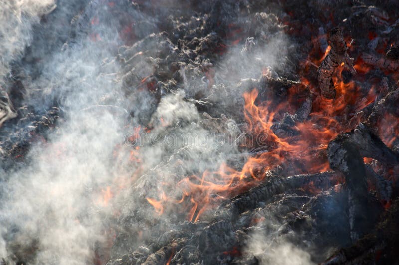 Closeup of a Stack of Firewood Burning in a Controlled Fire Stock Photo ...