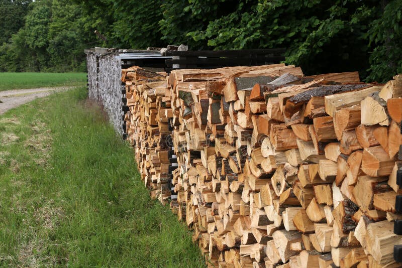 Closeup of Stacked Tree Lumber on the Ground Surrounded by Greenery at ...