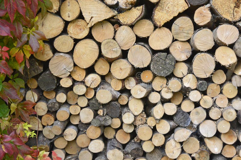 Closeup of Stacked Tree Lumber on the Ground Under the Lights Stock ...