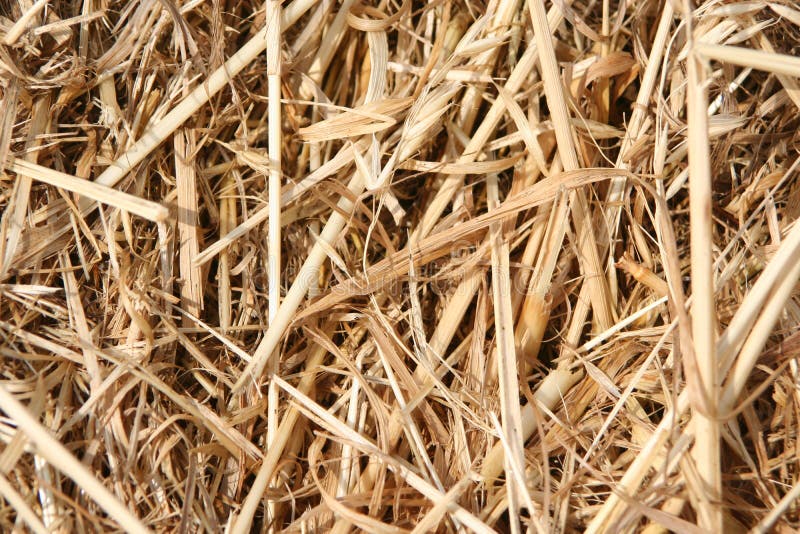 Closeup of Straw Texture Surface Stock Image - Image of decor, design ...