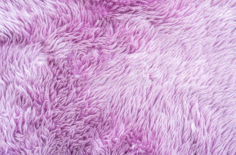 Closeup of Natural Soft Romantic Pastel Pink Animal Fluffy Fur Wool ...