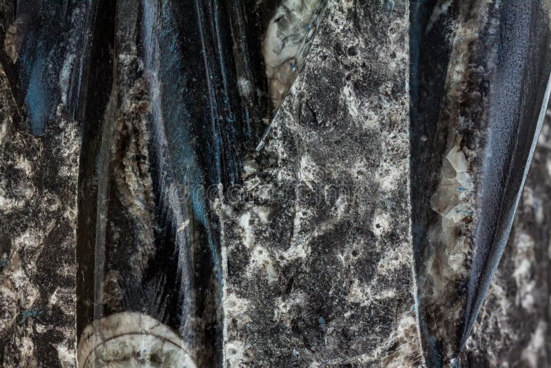 Closeup Surface of Orthoceras Fossil Stock Image - Image of meterial ...