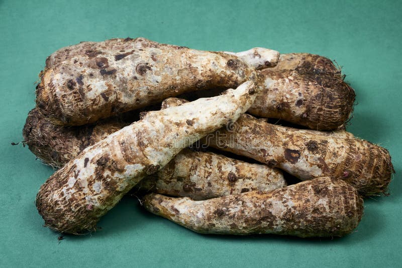 Closeup of Taro Root Vegetable, Eddo Malanga, Green Background Stock ...