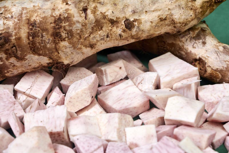 Closeup of Taro Root Vegetable, Eddo Malanga, Green Background Stock ...