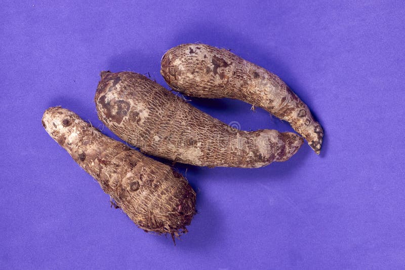 Closeup of Taro Root Vegetable, Eddo Malanga, Purple Background Stock ...