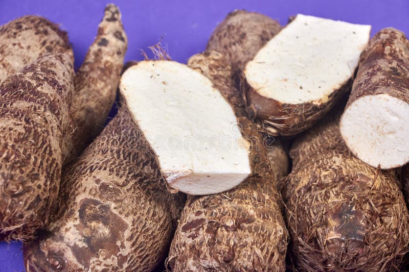 Closeup of Taro Root Vegetable, Eddo Malanga, Purple Background Stock ...
