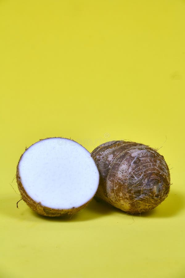 Closeup of Taro Root Vegetable, Eddo Malanga, Yellow Background Stock ...