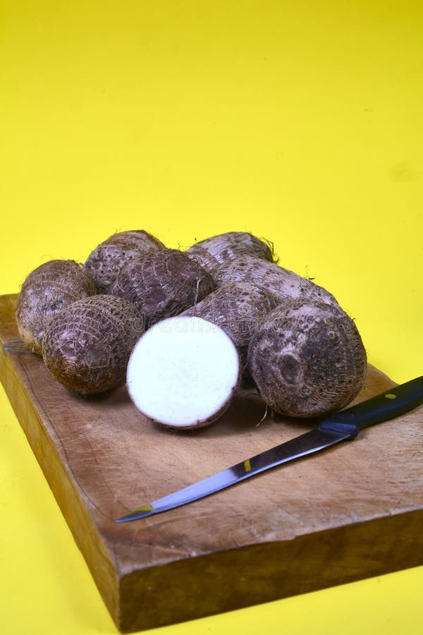 Closeup of Taro Root Vegetable, Eddo Malanga, Yellow Background Stock ...