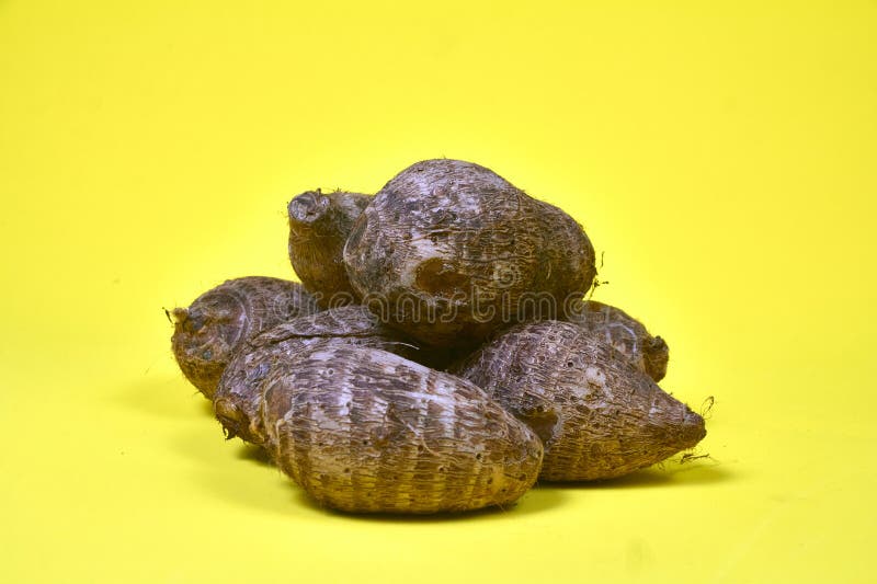 Closeup of Taro Root Vegetable, Eddo Malanga, Yellow Background Stock ...