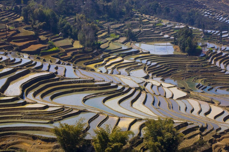 The closeup of terrace stock photo. Image of spot, mountains - 4530042