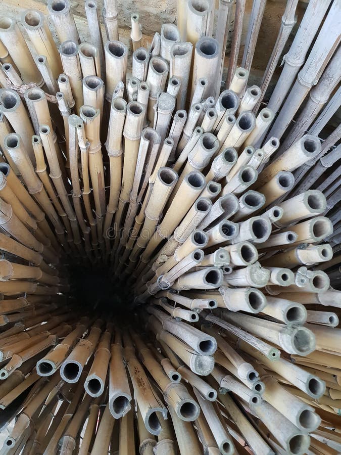 Closeup Texture Bamboo,Bamboo Raft,Yellow Bamboo is Brought Together ...