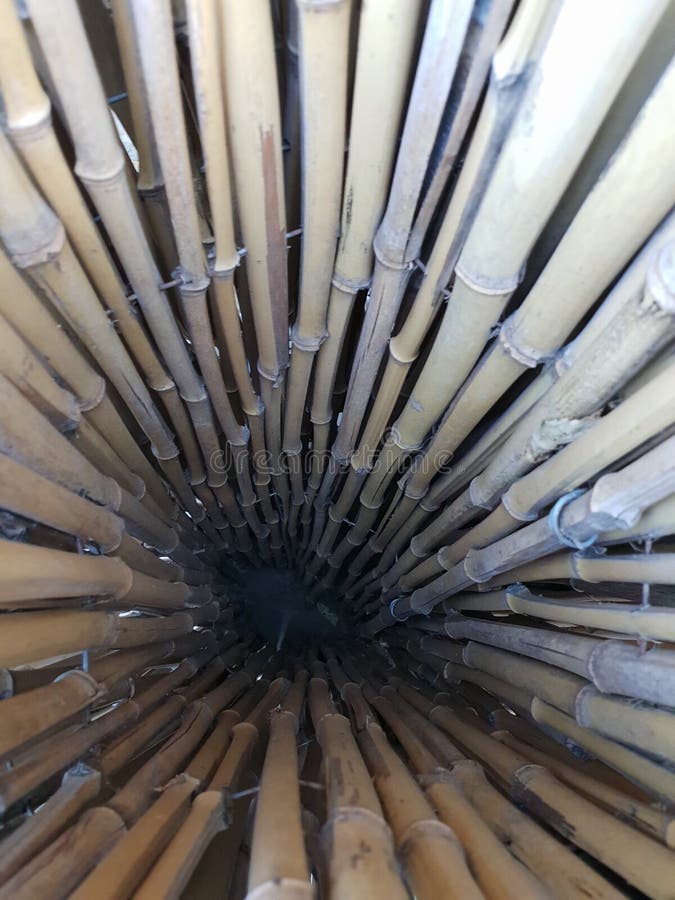 Closeup Texture Bamboo,Bamboo Raft,Yellow Bamboo is Brought Together ...