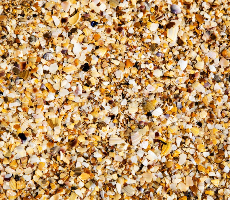 Bermuda s pink sand stock photo. Image of grain, granular - 12409990