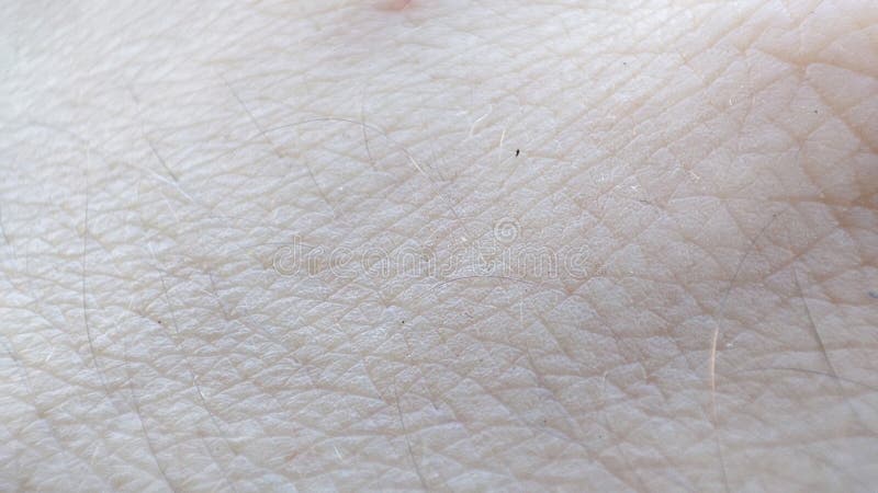 Closeup Texture of Human Skin in Detail through Macro Lens Stock Photo ...