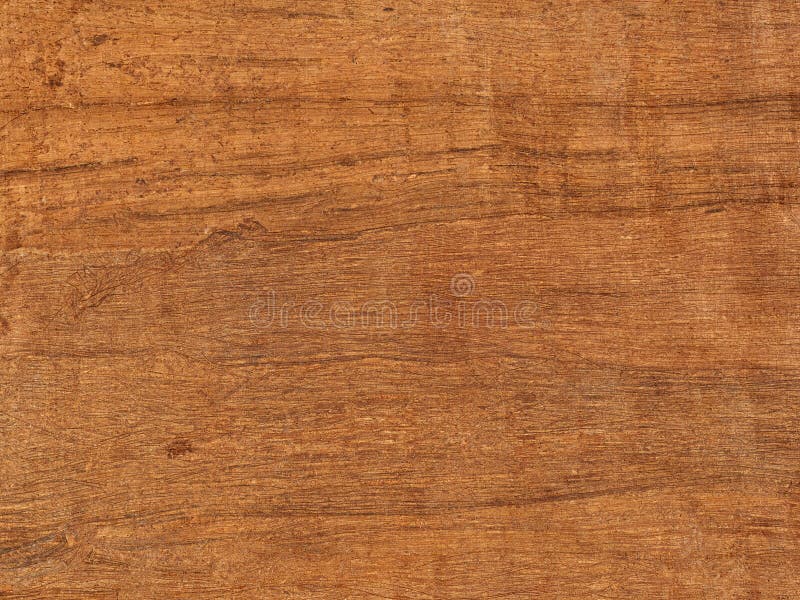 Closeup Texture of Natural Papyrus Stock Image - Image of scroll ...