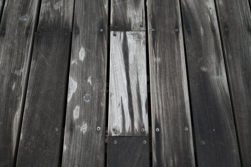 Closeup of the Texture of an Old, Wet Wooden Dock with White Patterns ...