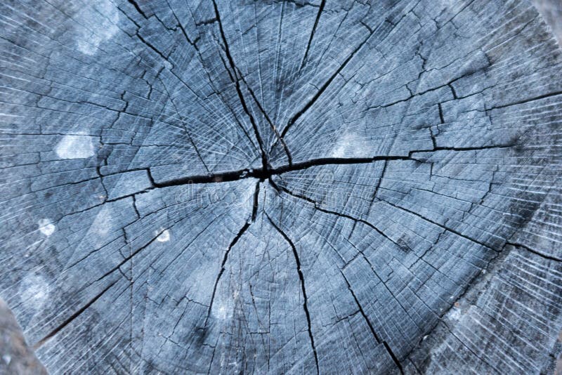 Closeup Texture of Old Wood with Cracks Pattern, Abstract Background ...