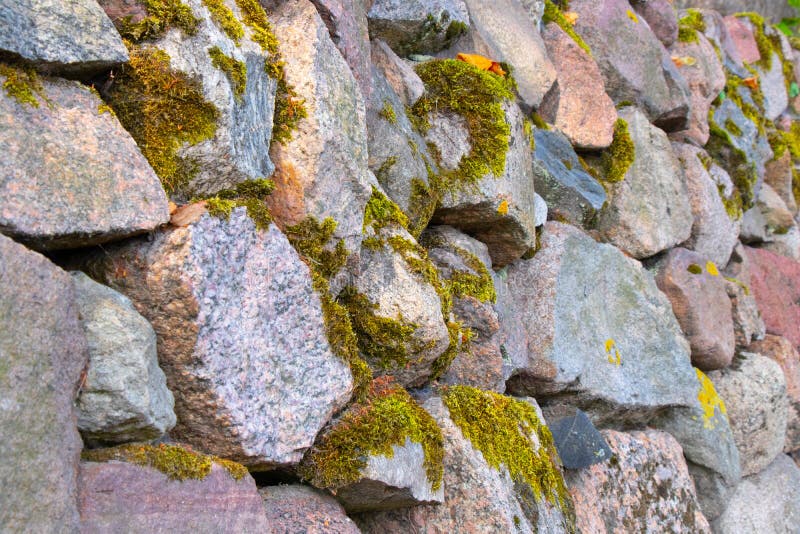 Closeup Texture of a Stone Wall Covered with Moss Stock Photo - Image ...