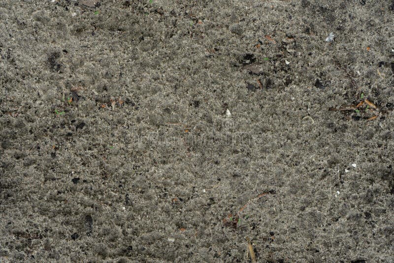 Bumpy Rock Texture stock photo. Image of messy, detail - 41442458