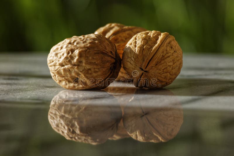Closeup of Three Walnuts on a Glass with Reflection Stock Photo - Image ...