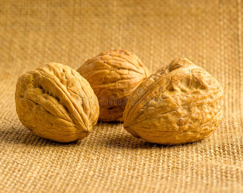 Closeup of Three Walnuts on a Table Stock Image - Image of cracker ...