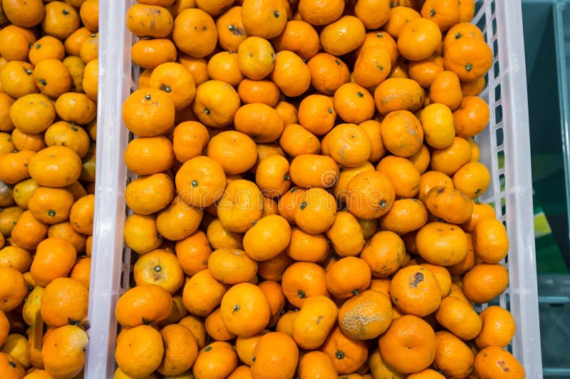 Closeup Tiny Orange stock photo. Image of organic, self - 36434554