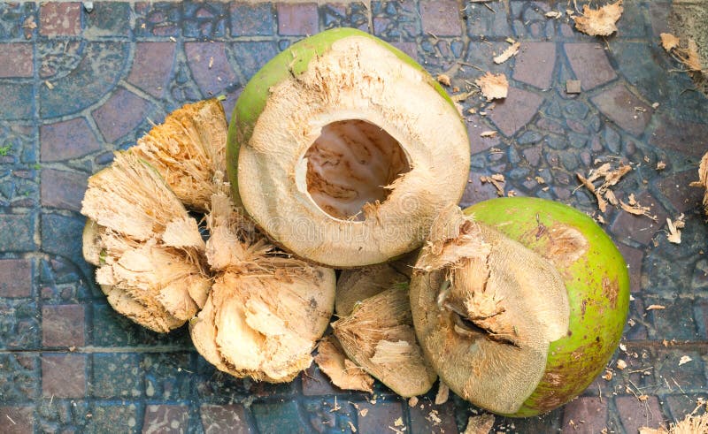 Closeup To Pile of Cracked Coconut Shell Stock Photo - Image of ...