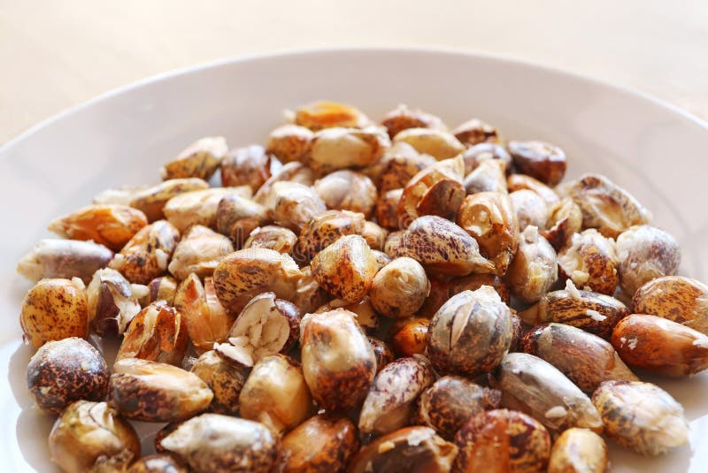 Toasted Andean Chulpe Corn Kernel with Salt Call Cancha Stock Photo ...