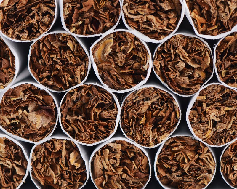 370 Cigarette Filter Texture Stock Photos - Free & Royalty-Free Stock ...