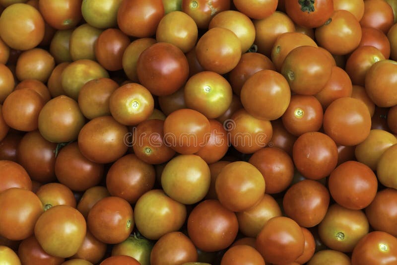 Closeup Tomato Top View stock photo. Image of food, fruit - 139794602