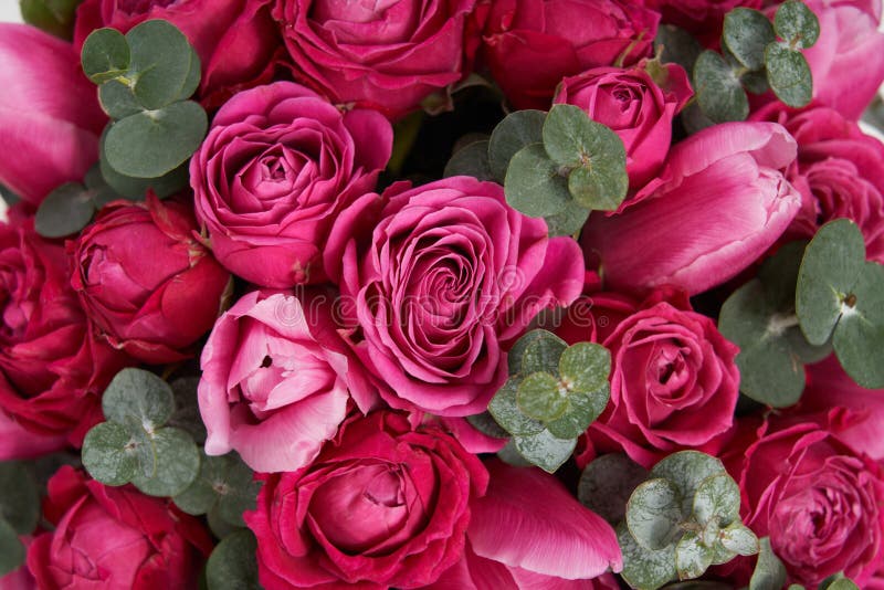 Closeup of Small Pink Roses in a Bunch Stock Image - Image of pink ...