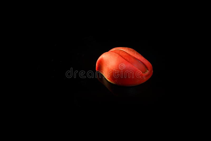 Closeup Top View of Small Red Oval-shaped Candy Stock Image - Image of ...