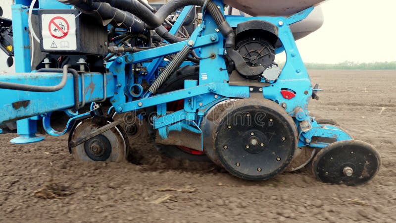 Sowing maize stock photo. Image of seed, cultivation - 13531020