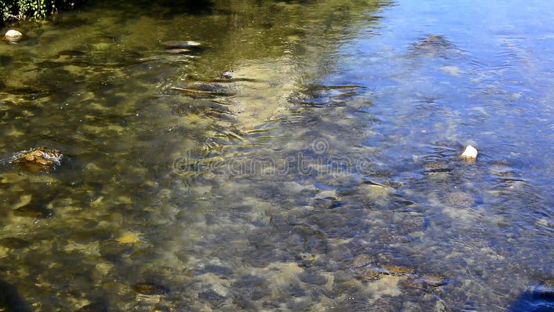 Water Flowing in Stream Inside Transparent Glass Tube on an Isolated ...