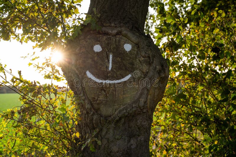 1,453 Tree Smiley Face Photos - Free & Royalty-Free Stock Photos from ...