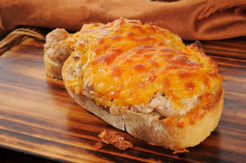Tuna melt stock image. Image of tuna, fish, melt, horizontal - 29740637