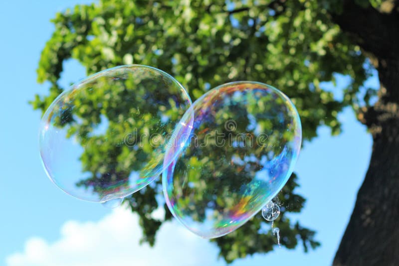 Closeup of Two Joined Giant Soap Bubbles in the Summer Park Stock Image ...